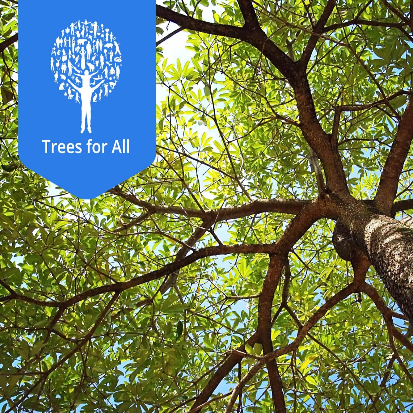 Levi9 Announces Angelina Best as a New CEO