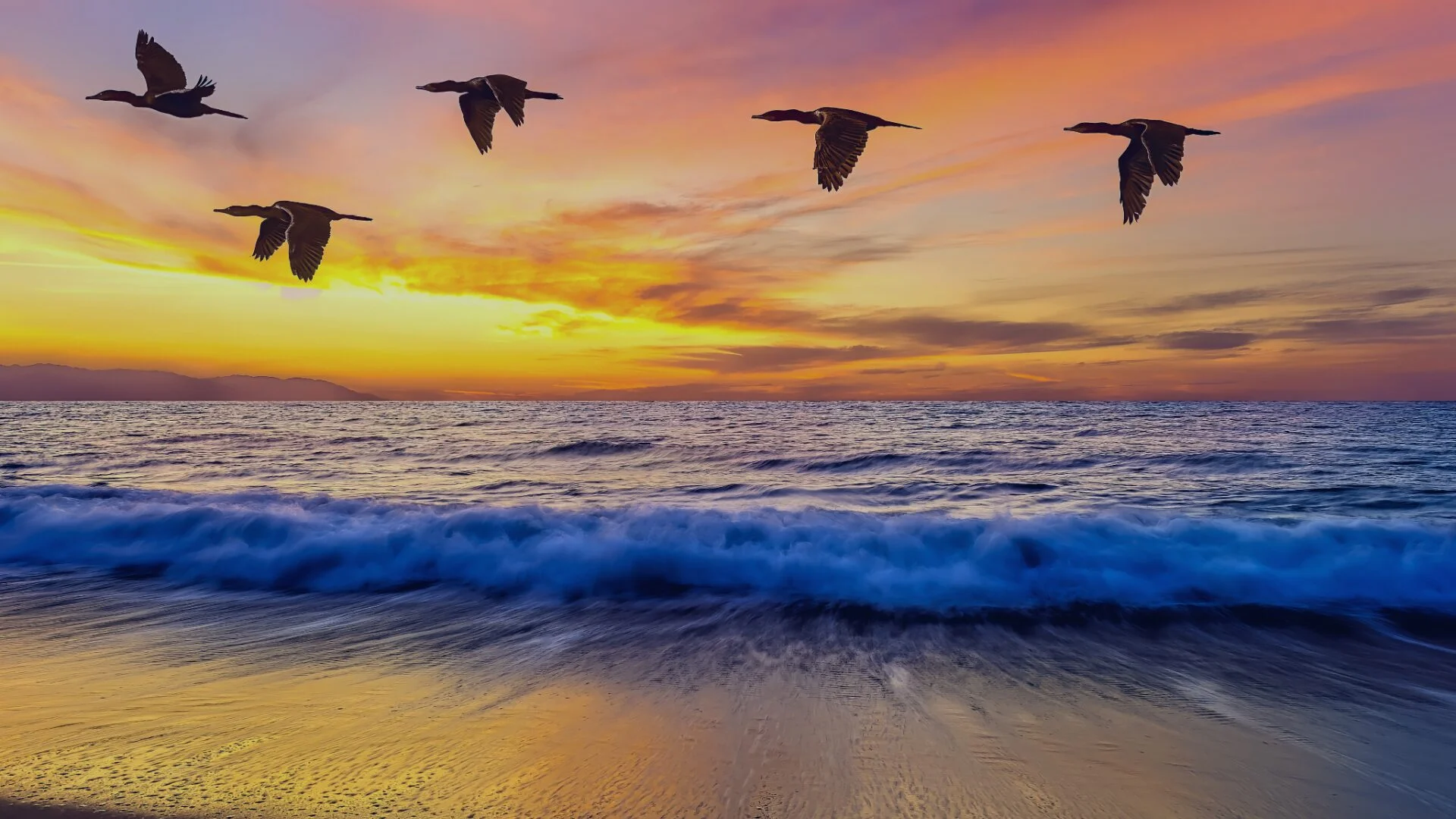 Levi9 Announces Strategic Partnership with Cenosco to Revolutionize ...