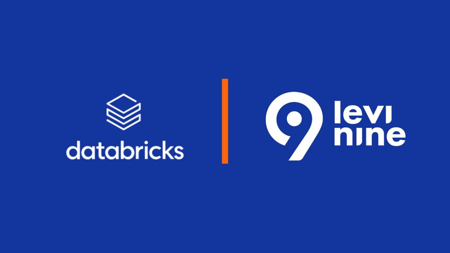 The most customer-friendly IT service partner—Levi9